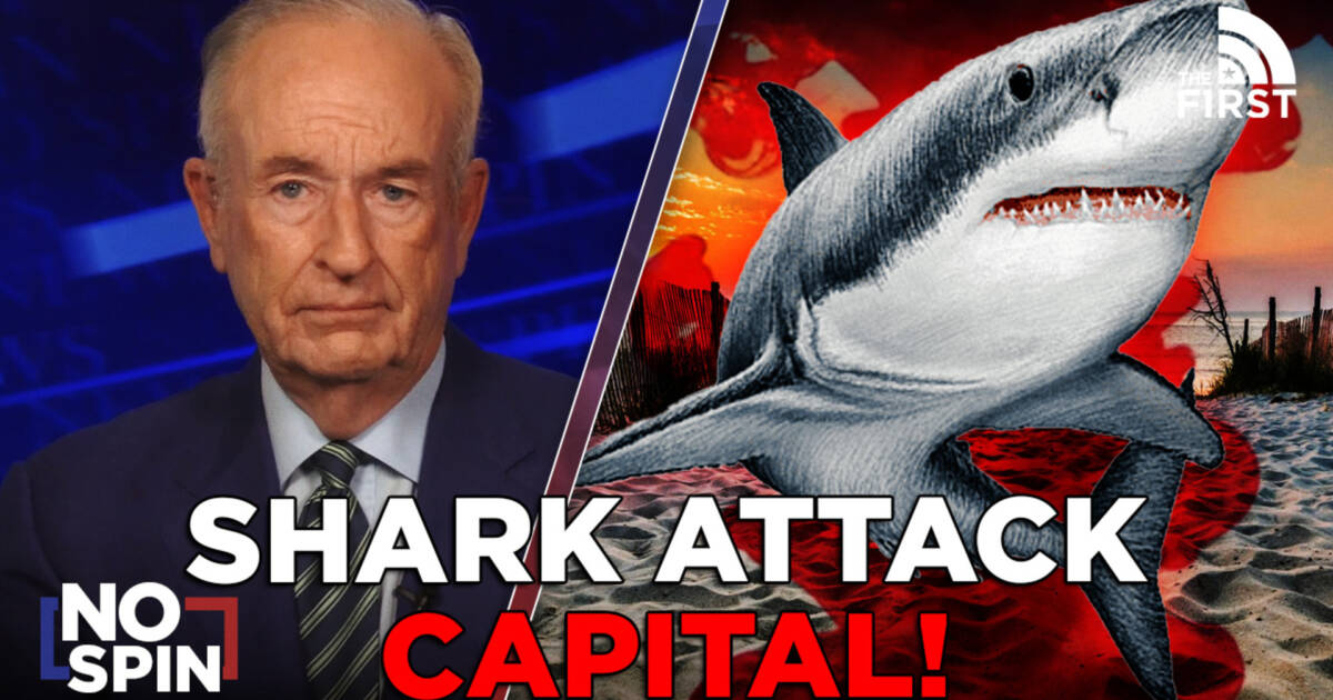 The Shark Attack Capital of the World is Right Here in the USA – The ...