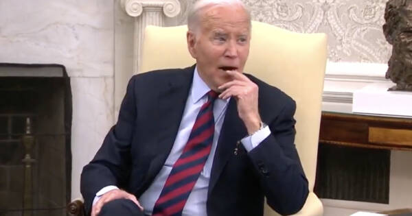 MELTDOWN: Dementia Joe Barks Like a Dog, Screams Gibberish at Reporters ...