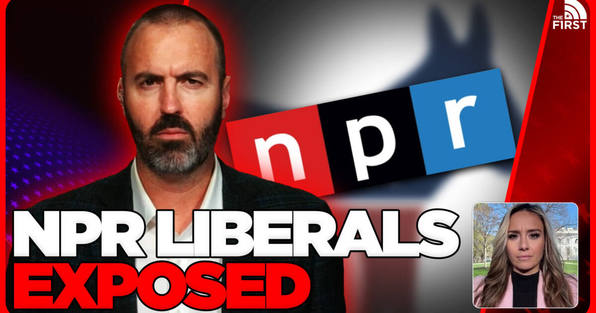 Liberals At NPR, CNN Get OWNED – The First TV